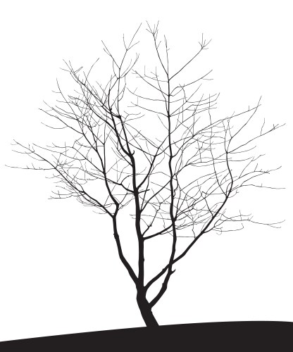 Simple Leafless Tree Silhouette