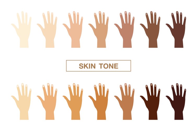 Skin tone infographic color table chart beauty Vector Image