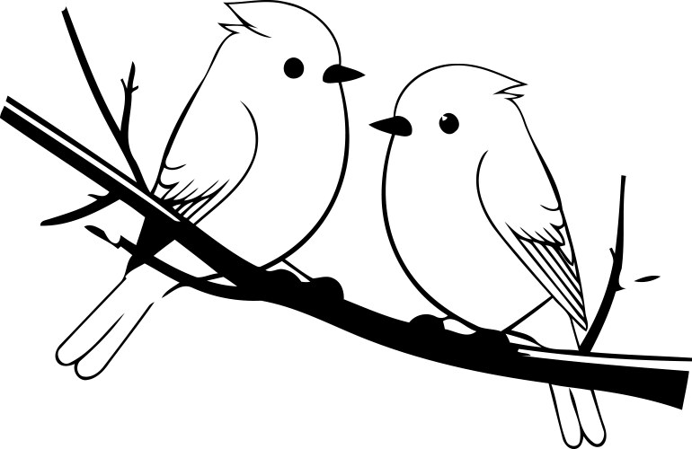 Two robins sitting on a branch in cartoon style Vector Image