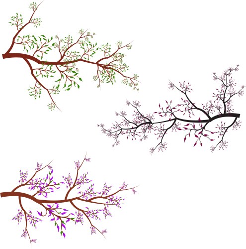 Branches Royalty Free Vector Image - VectorStock