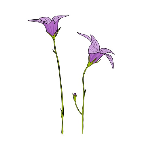 Realistic bells beautiful flower Royalty Free Vector Image