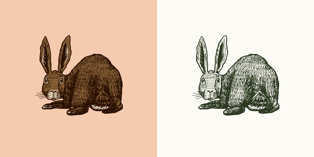 Rabbit Pencil Drawing Vector Images (over 710)