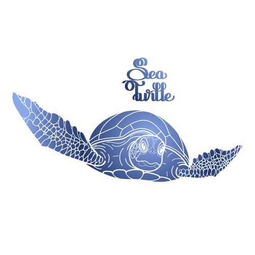 Hawksbill sea turtle collection Royalty Free Vector Image