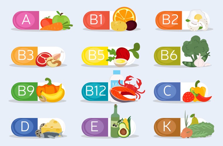Health and medical vitamin chart diagram Vector Image