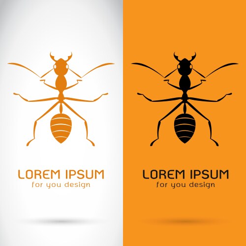 Ant Vector Images (over 18,000)