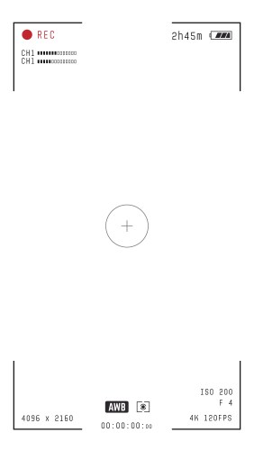 Night vision camera overlay Royalty Free Vector Image