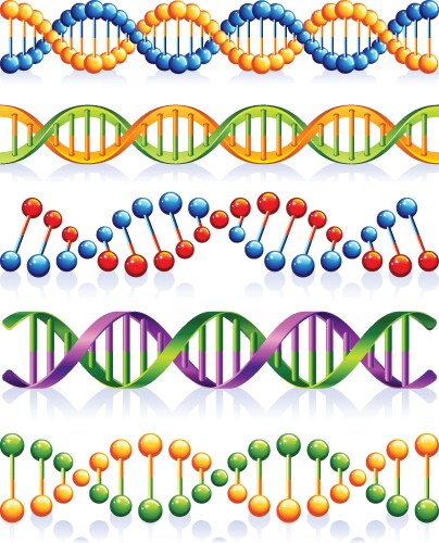 Curved Dna Vector Images (over 5,900)