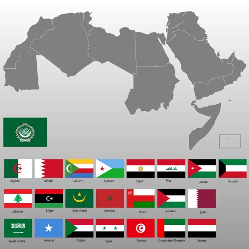 High quality map arab world Royalty Free Vector Image