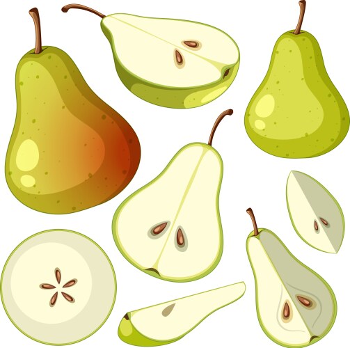 Pear Royalty Free Vector Image - VectorStock