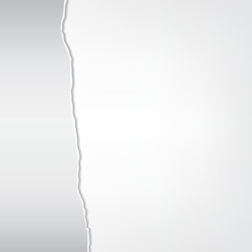 White rectangular torn paper tear Royalty Free Vector Image