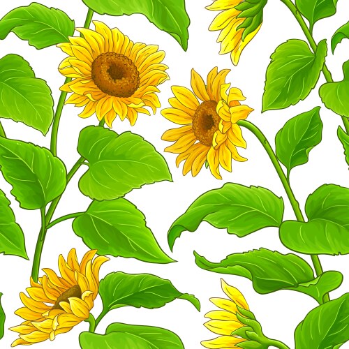 Sunflower Vector Images (over 44,000)