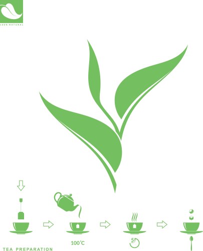 Set for making matcha tea Royalty Free Vector Image