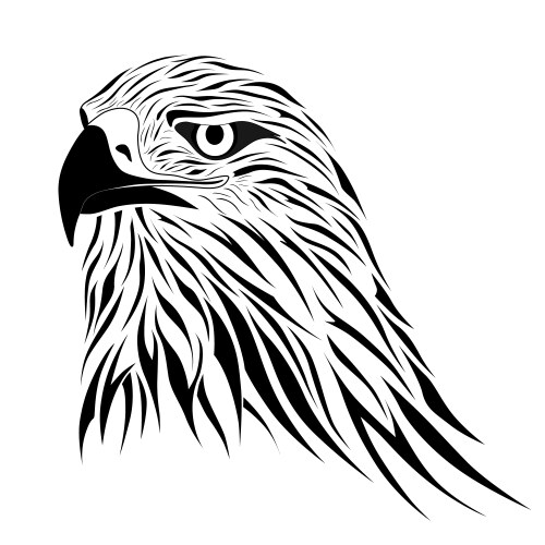 Hawk Vector Images (over 34,000)