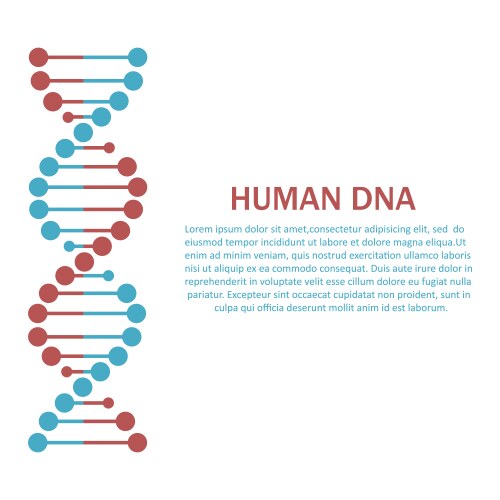 Human athlete depicted as dna strands Royalty Free Vector