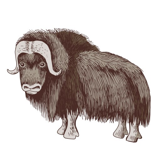 Ox Vector Images (over 27,000)