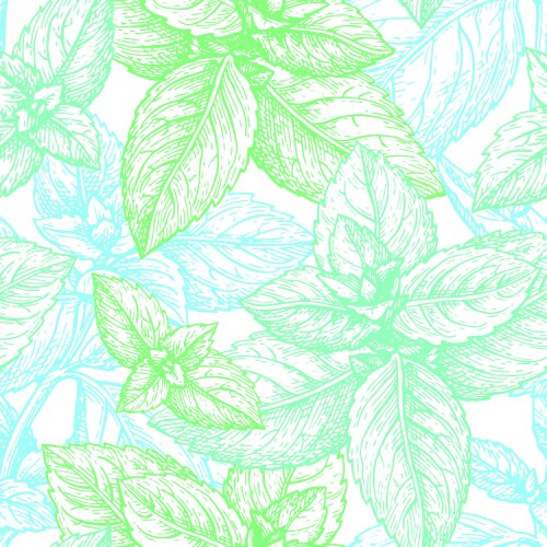 Fresh mint seamless pattern Royalty Free Vector Image