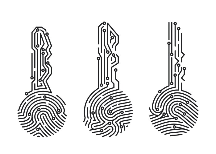 Cyber security id concept fingerprint in key Vector Image