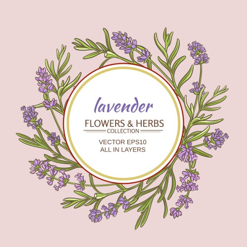 Lavender Vector Images (over 18,000)