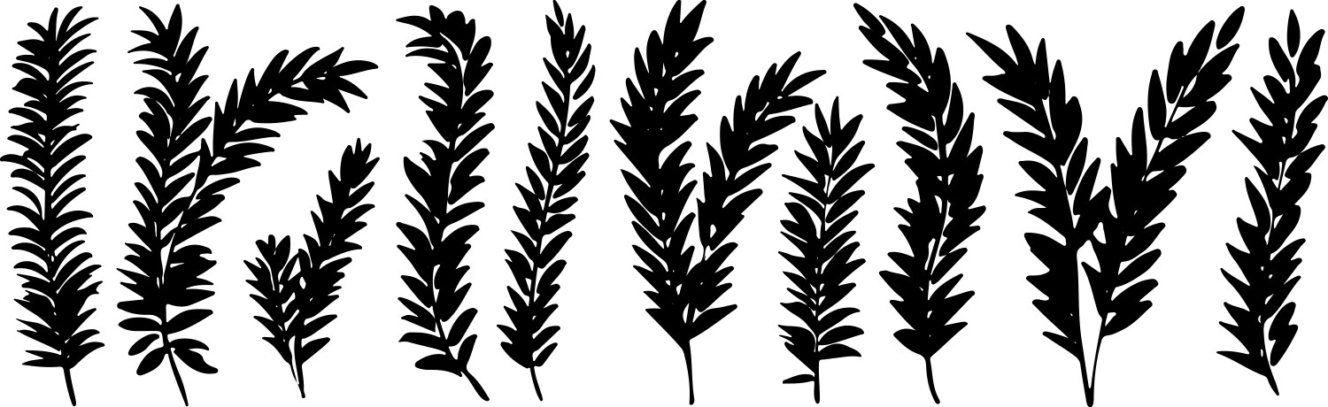 Rustic Leaf Border Vector Images (over 13,000)