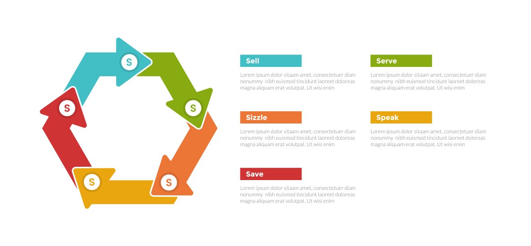 5s model marketing infographics template diagram Vector Image