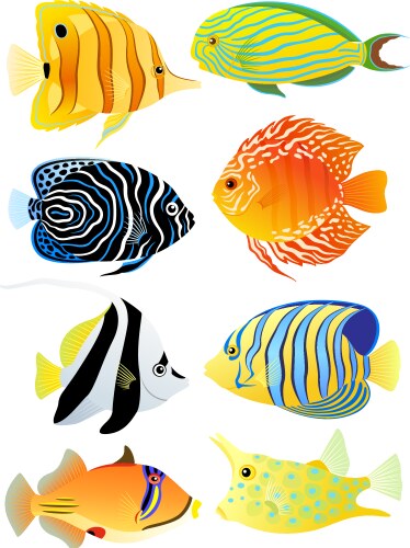 Fish Vector Images (over 510,000)