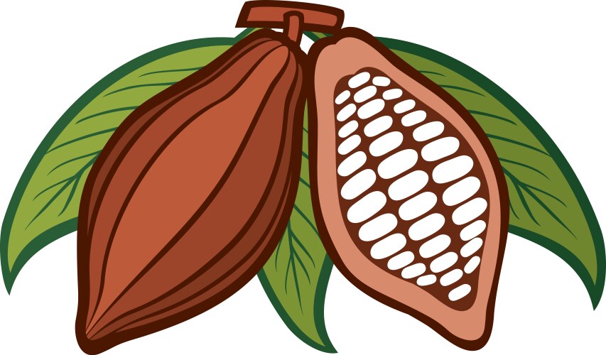 Cocoa Vector Images (over 50,000)