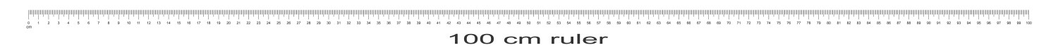 Ruler cm measurement numbers scale Royalty Free Vector Image