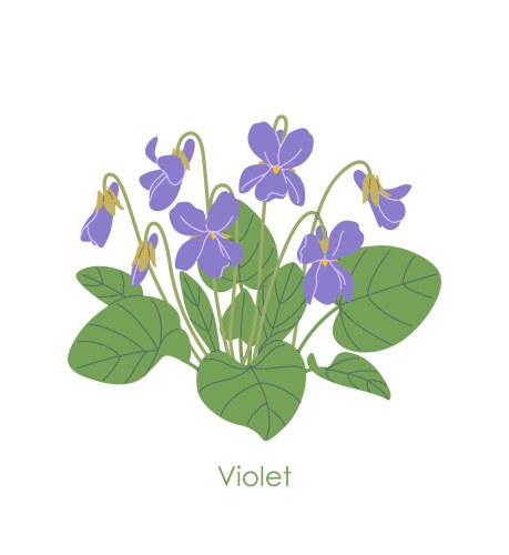 Violet Flower Clipart Vector Images (over 700)