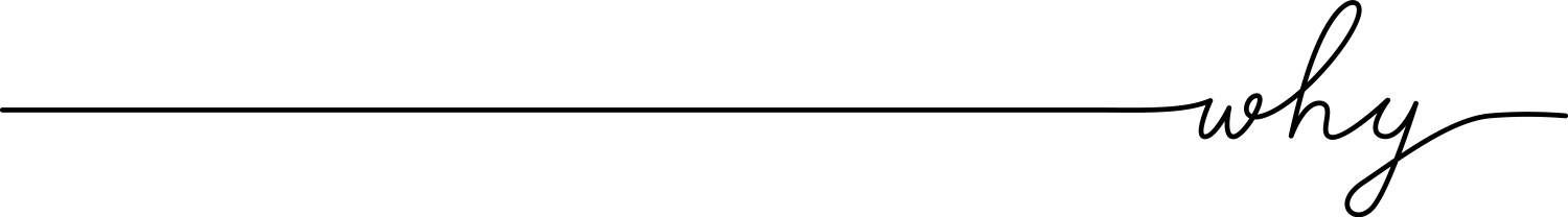 Why Vector Images (over 3,600)