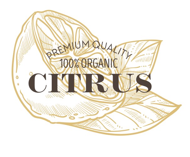 Citrus Logo Vector Images (over 12,000)