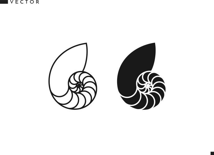 Nautilus shells Royalty Free Vector Image - VectorStock