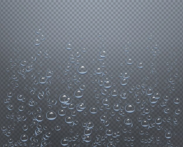 Underwater bubbles on transparent background Vector Image