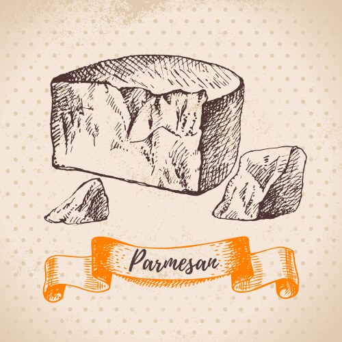 Parmesan cheese ink sketch Royalty Free Vector Image