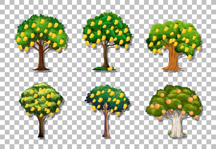 Mango tree on transparent background Royalty Free Vector