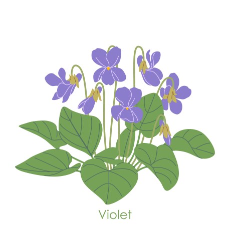 Violet Vector Images (over 250,000)