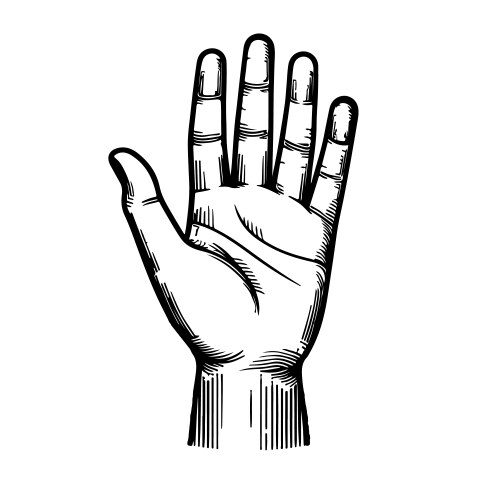 Hand palm outline image with white background Vector Image
