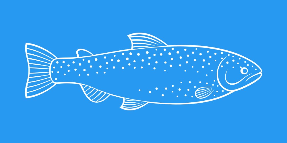 Trout Vector Images (over 13,000)
