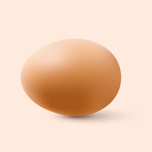Chicken egg Royalty Free Vector Image - VectorStock