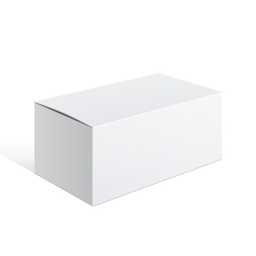 Realistic template blank white package paper box Vector Image