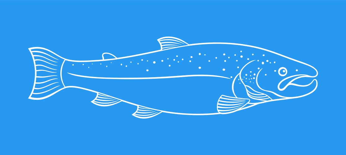 Salmon Royalty Free Vector Image - VectorStock