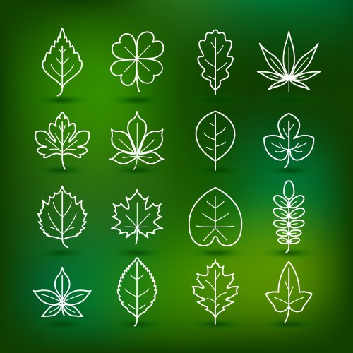 Leaf Vector Images (over 2.1 million)