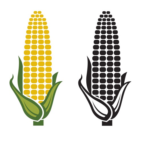 Corn icon Royalty Free Vector Image - VectorStock