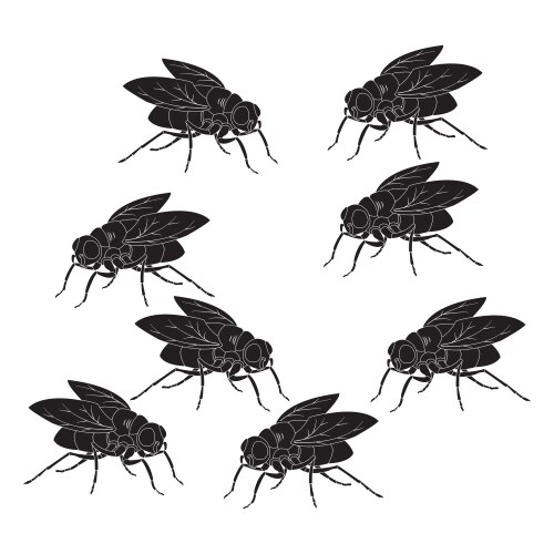 Fly icon Royalty Free Vector Image - VectorStock