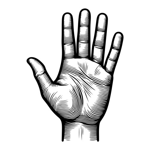 Hand palm outline image with white background Vector Image