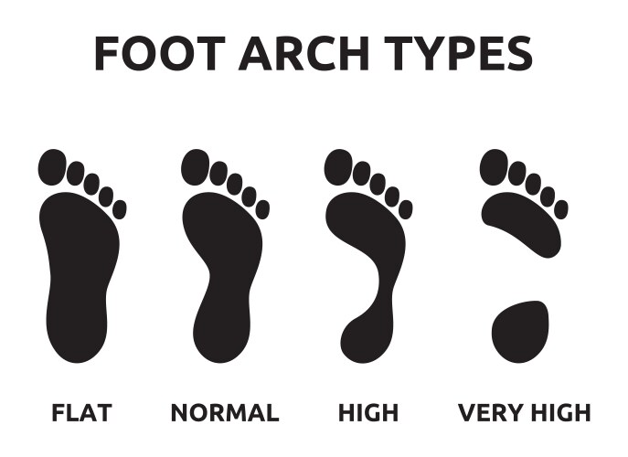 Foot Arches Vector Images (over 620)