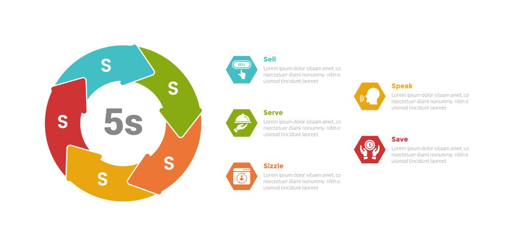 5s model marketing infographics template diagram Vector Image