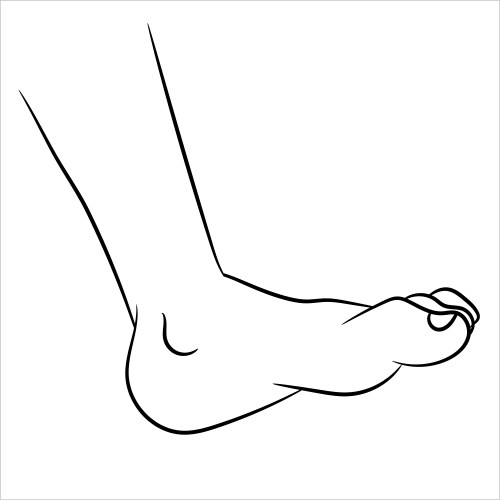 Cartoon Foot Vector Images (over 38,000)
