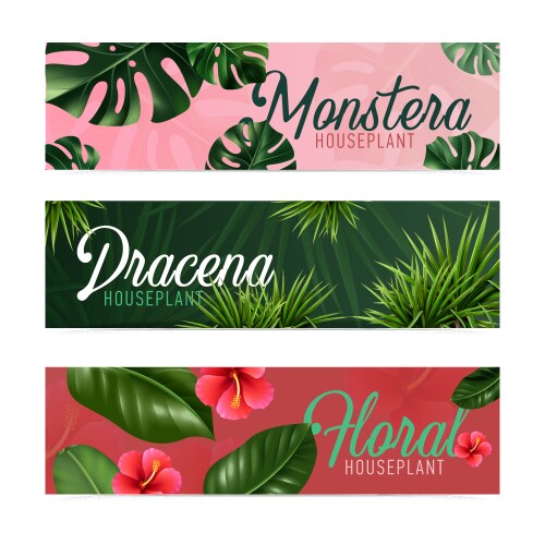 Houseplants realistic banners Royalty Free Vector Image