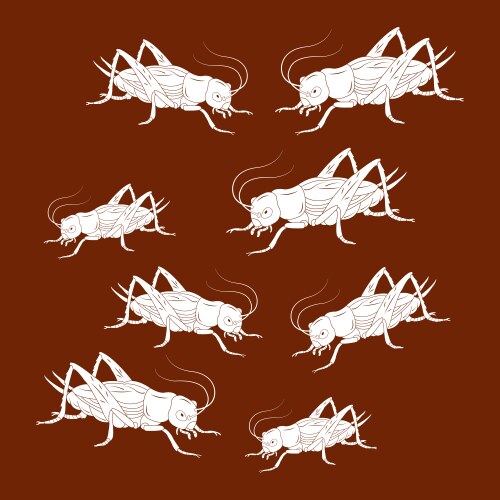 Cricket icon Royalty Free Vector Image - VectorStock