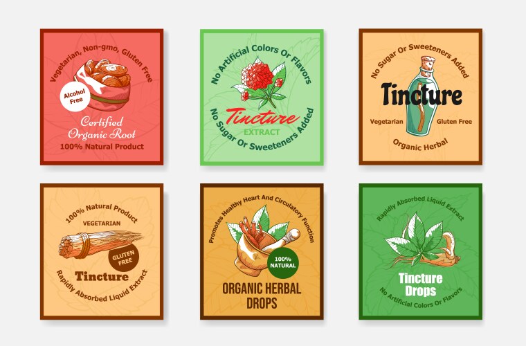 Herbal tea poster design with cinnamon mint Vector Image